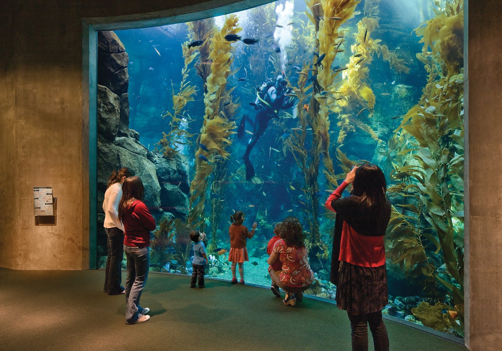 California Science Center - Ecosystems - GxU Lighting